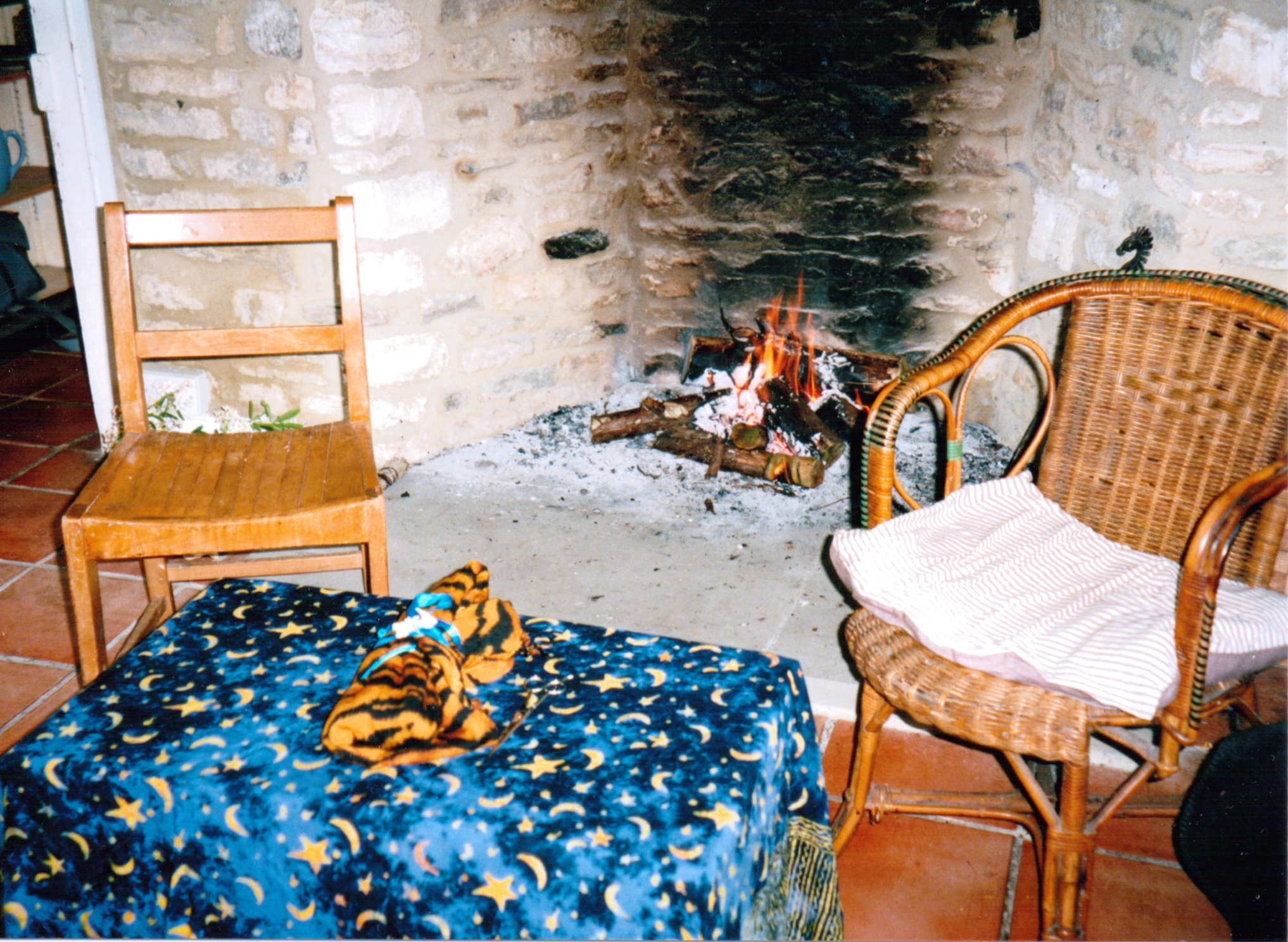 Divorce Rituals - Jackie Singer